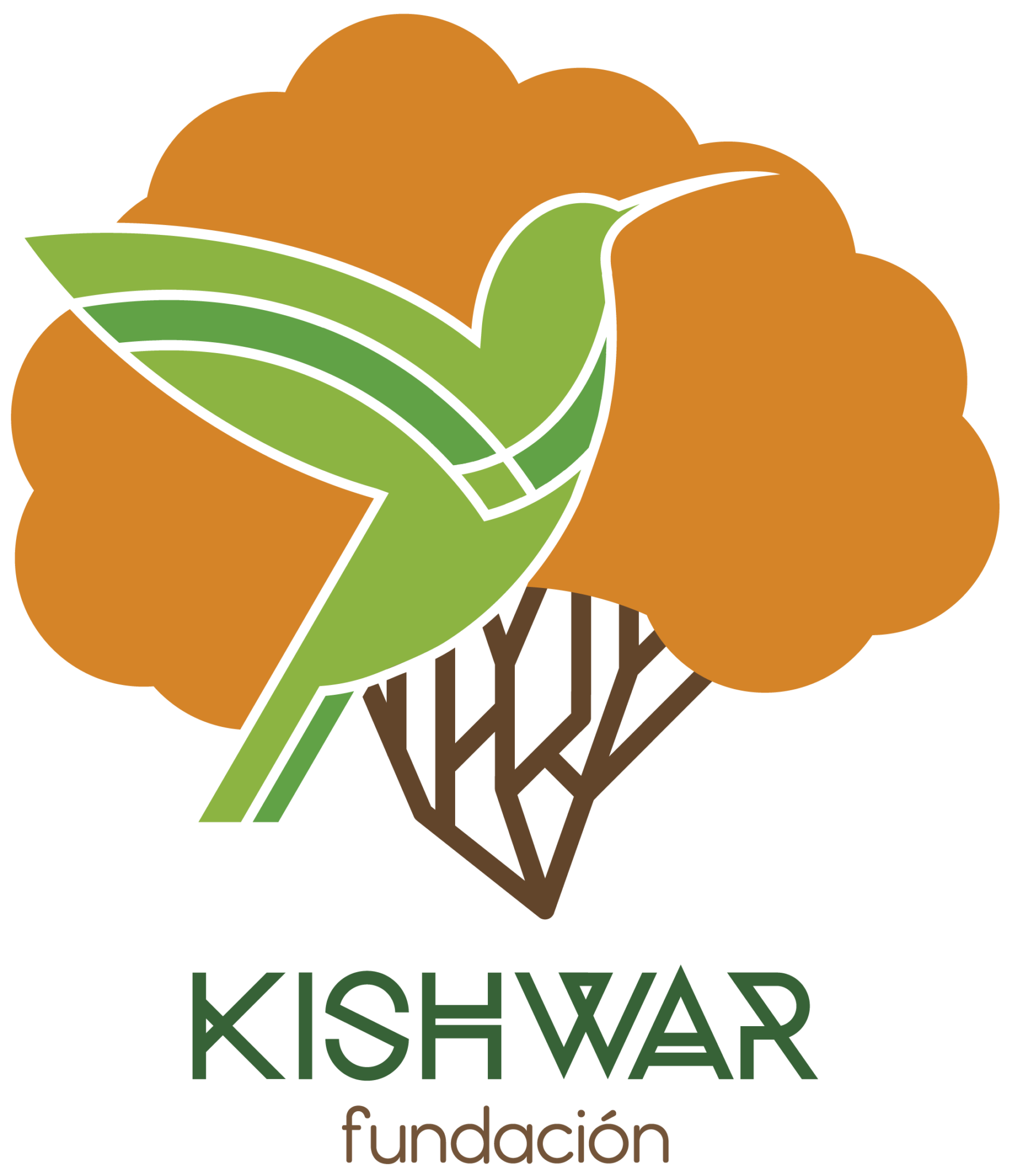 La Fundación Kishwar con una nueva apariencia | Fundación Kishwar