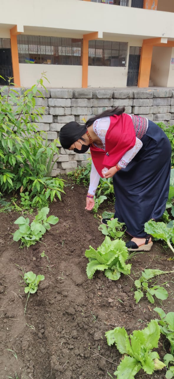 Primera cosecha | Fundación Kishwar